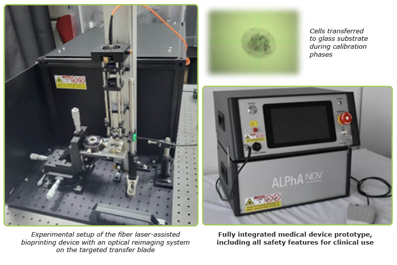 BioImpress - Innovation in targeted therapy for hearing disorders | ALPhANOV